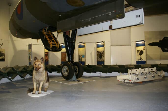 Supporting the Vulcan: RAF Police Dogs and the Standard Vanguard - RAF ...