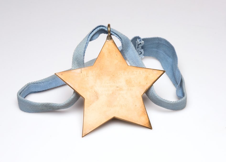 The Gold Donkey Star - RAF Museum